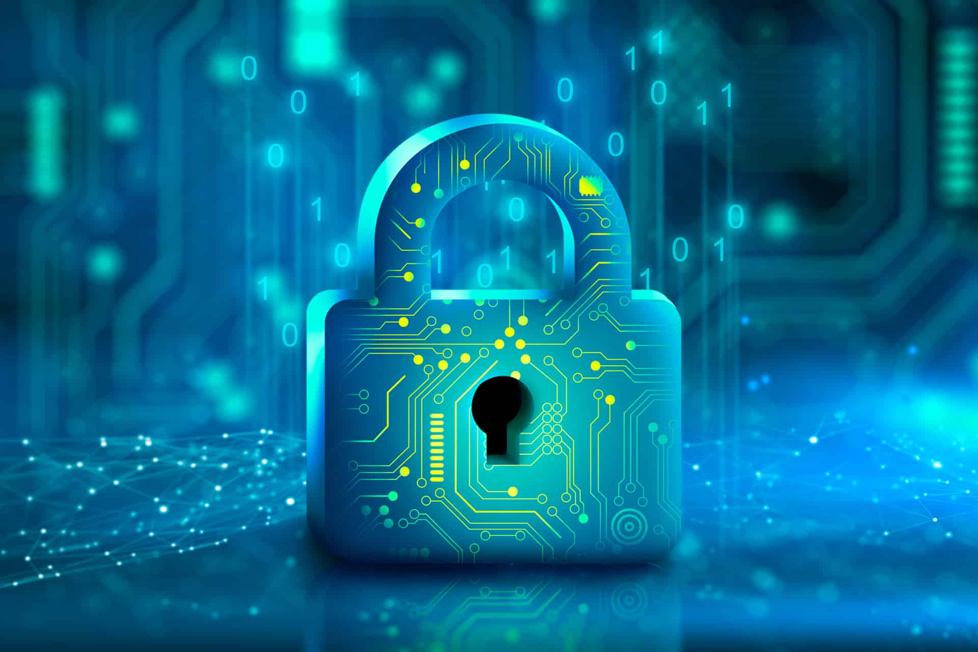 Securing Machine Learning Workflows through Homomorphic Encryption